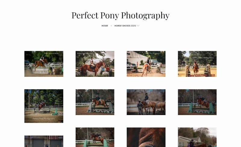 Home - Perfect Pony Photography
